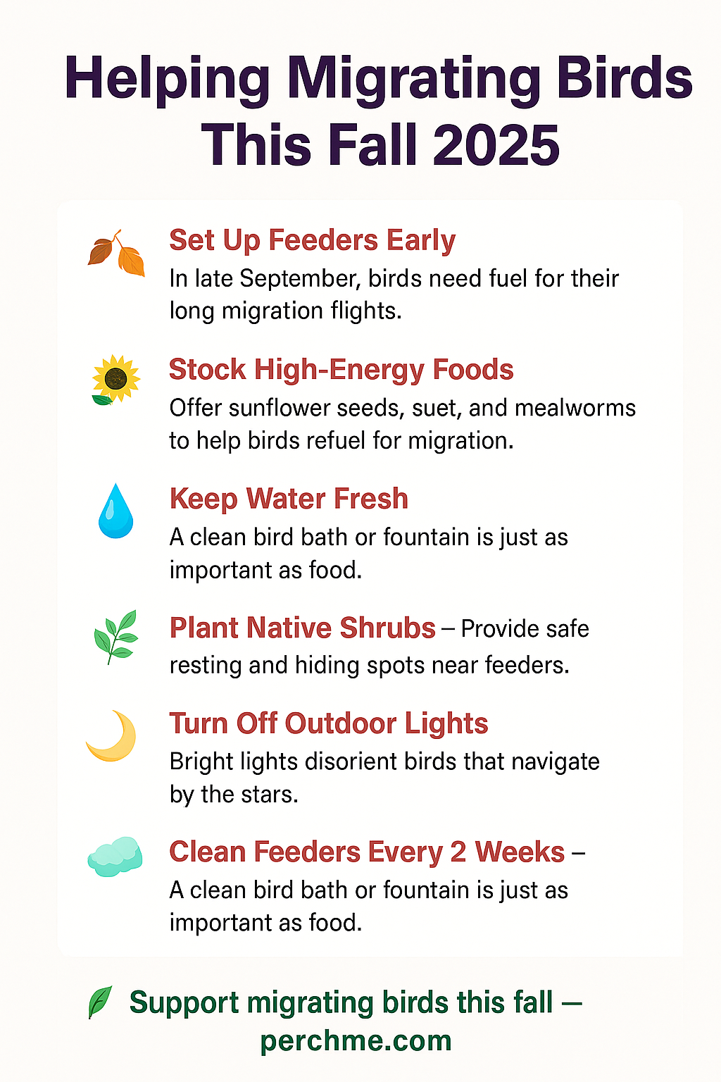 2025 Fall Bird Migration: Routes, Timing, and How to Support Birds on