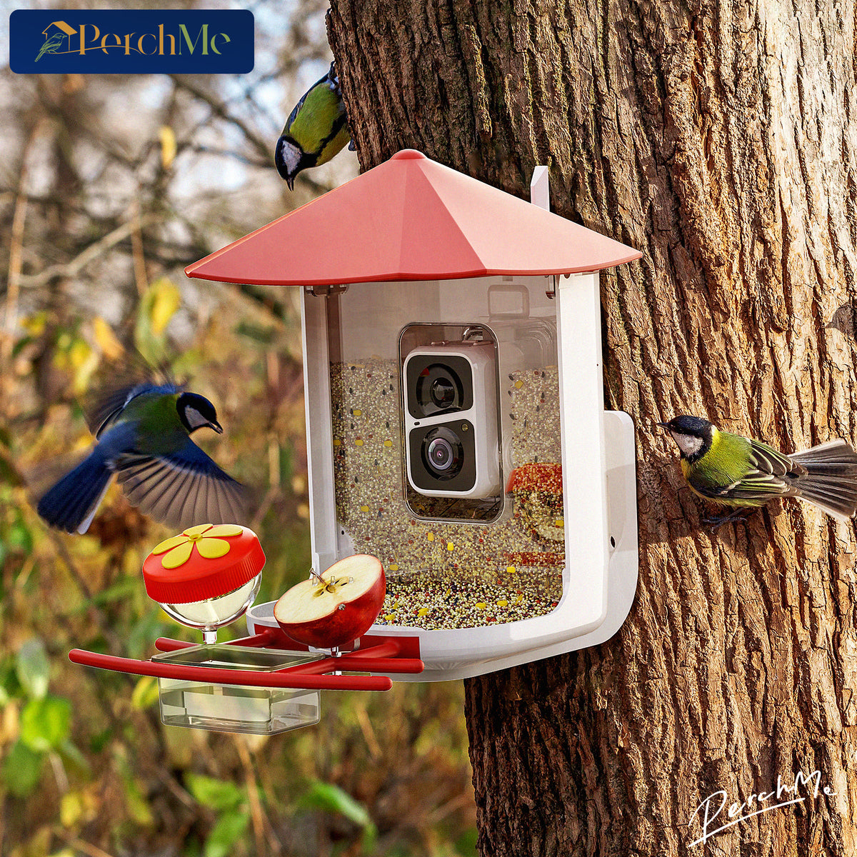 PerchMe Smart Bird Feeder with AI Camera & Solar Panel (Vermillion & A