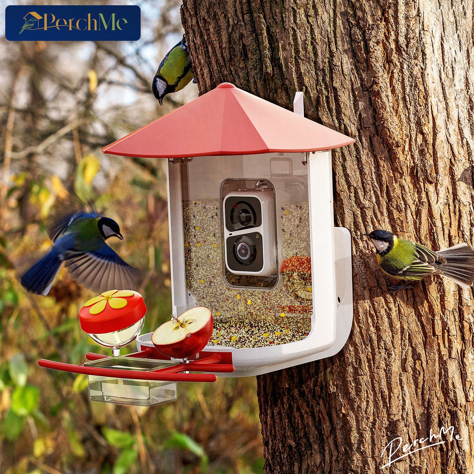 PerchMe Smart Bird Feeder with AI Camera & Solar Panel (Vermillion & A