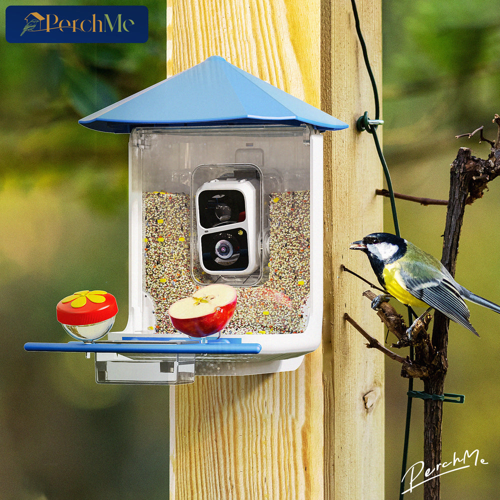 PerchMe Smart Bird Feeder with AI Camera & Solar Panel (Vermilion & Az