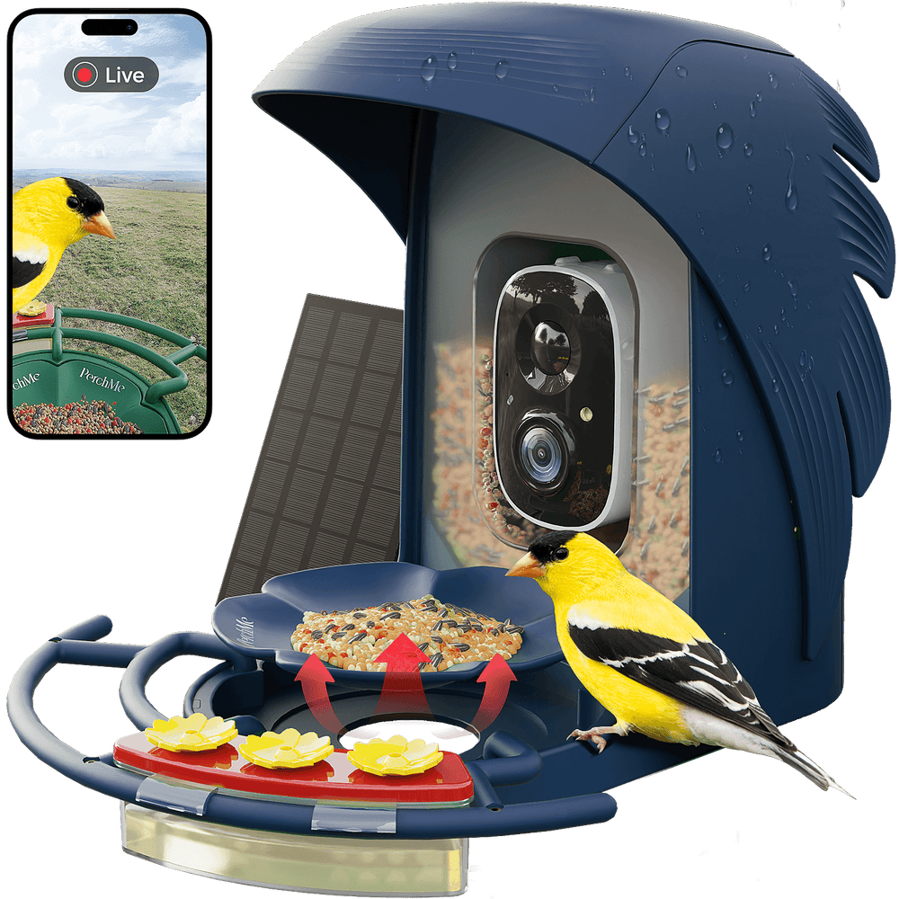PerchMe Smart Bird Feeder with Camera,2K,AI Recognition,Solar Powered,