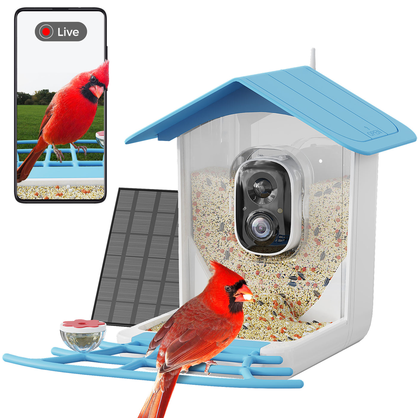 PerchMe Smart Bird Feeder – Wireless 2K AI Camera & Solar Powered