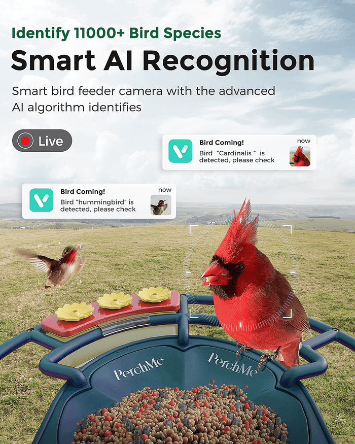 PerchMe Smart Bird Feeder with Camera,AI Recognition,Solar Powered,Bes