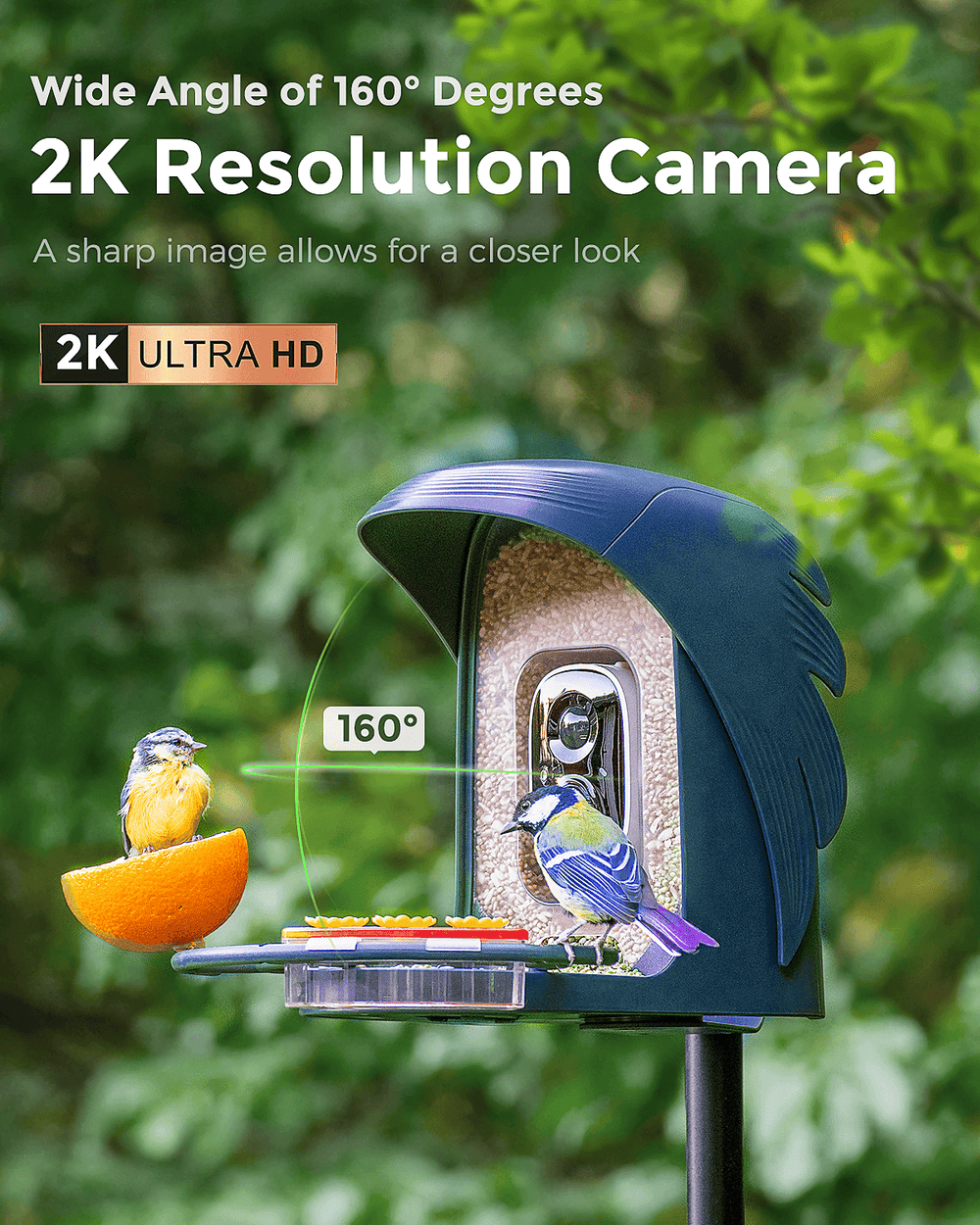 PerchMe Smart Bird Feeder with Camera,2K,AI Recognition,Solar Powered,