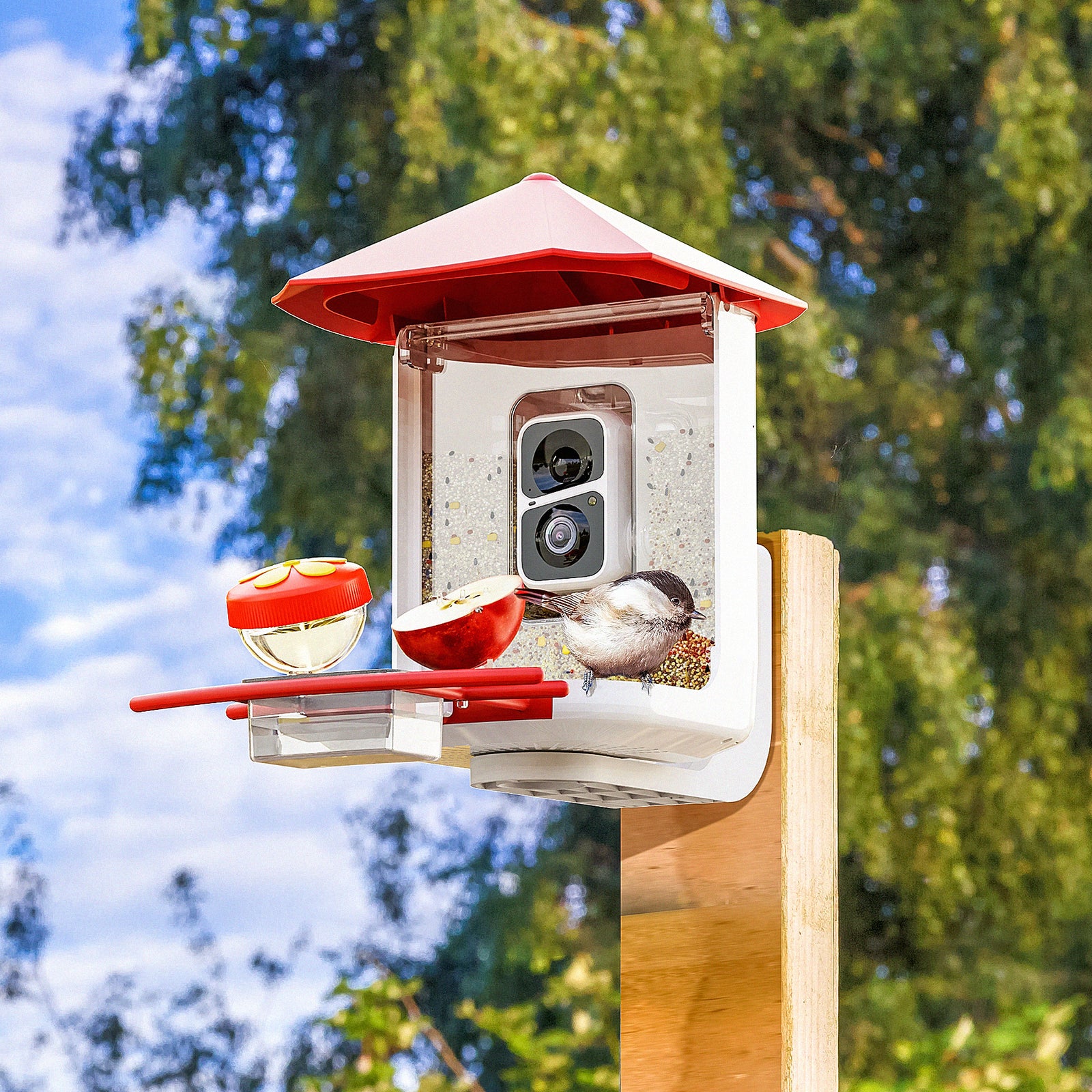 PerchMe Smart Bird Feeder – AI Camera & Solar Panel (Vermillion)