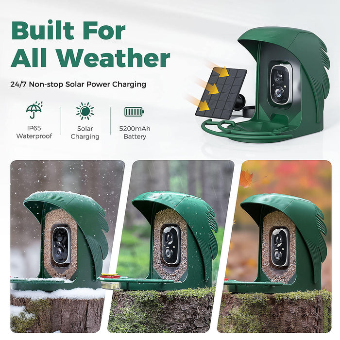PerchMe – Every Perch Tells a Story | Smart AI Bird Feeder Camera