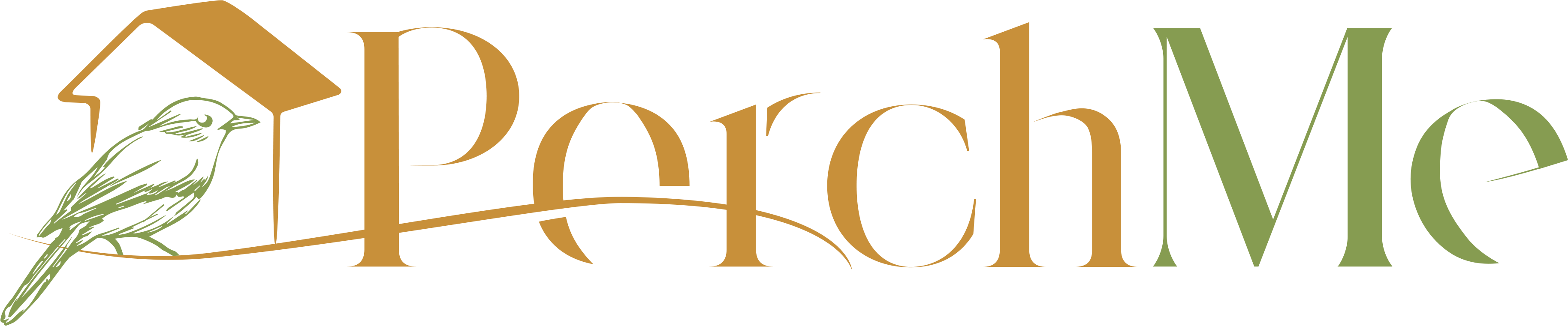 PerchMe Smart Bird Feeder with Camera