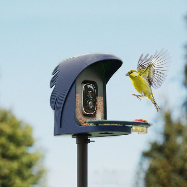PerchMe – Every Perch Tells a Story | Smart AI Bird Feeder Camera