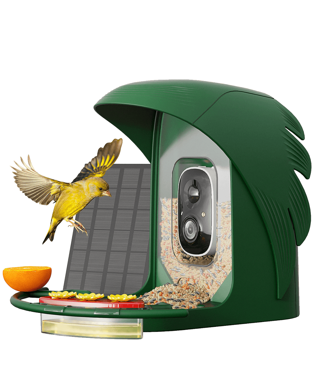 PerchMe Smart Bird Feeder with Camera, Solar Powered, AI Recognition,G