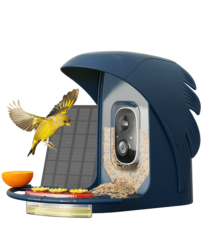 PerchMe Smart Bird Feeder with Camera,AI Recognition,Solar Powered,Bes